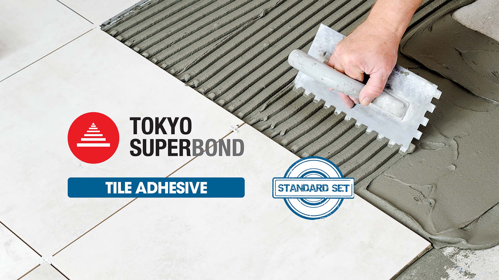 Standard Set | Tokyo Cement